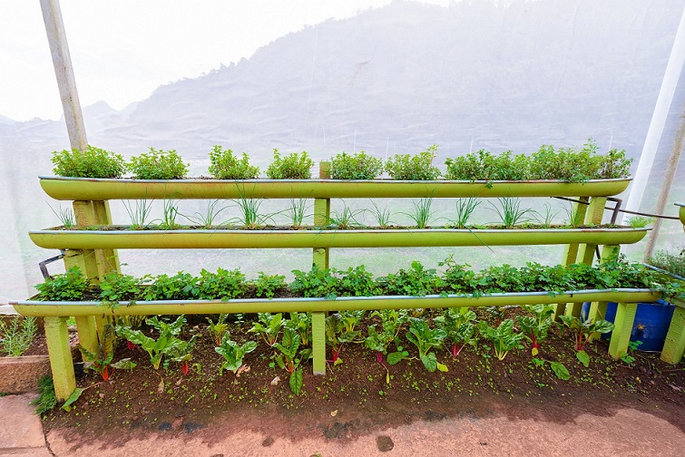How to create a portable vertical garden - Release Property Management